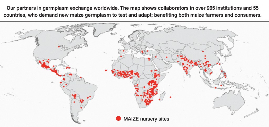 Where we work » CGIAR Research Program on MAIZE