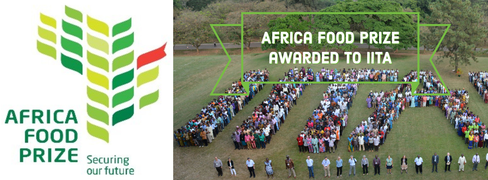 CGIAR Research Program on MAIZE » The CGIAR Research Program on maize (MAIZE CRP) is part of an ...