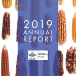 CGIAR Research Program on MAIZE » The CGIAR Research Program on maize (MAIZE CRP) is part of an ...
